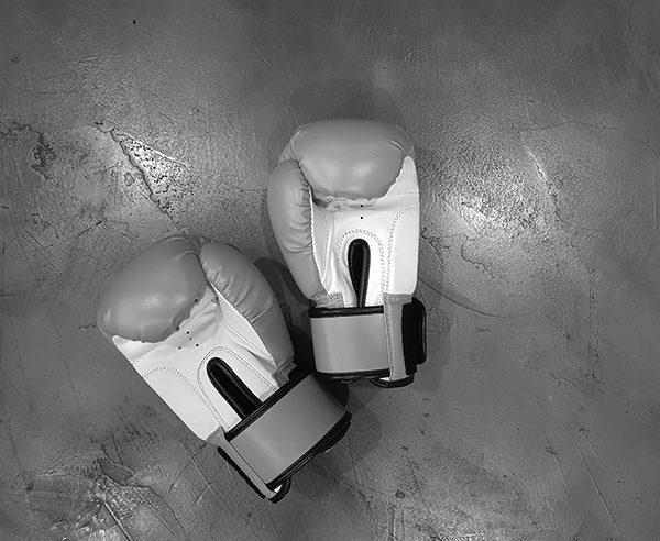 Homepage - Valhalla MMA